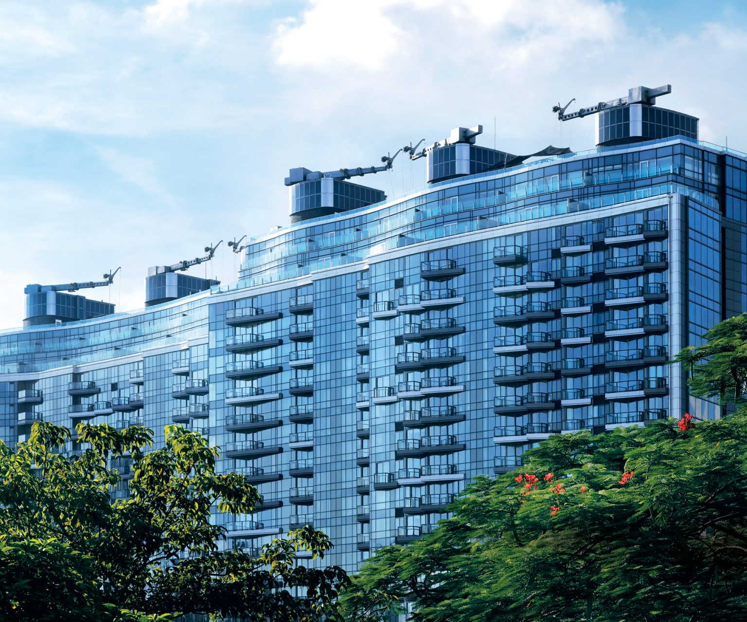 Advertorial – Grand Ming Group – Global