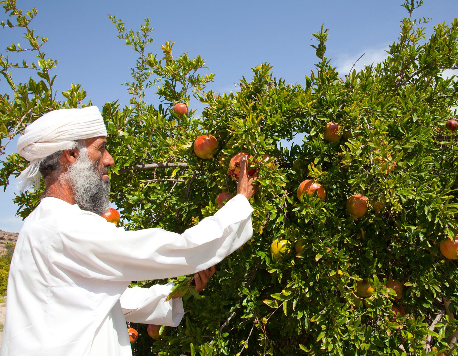 Ahmed Said Al Marhoubi – Global