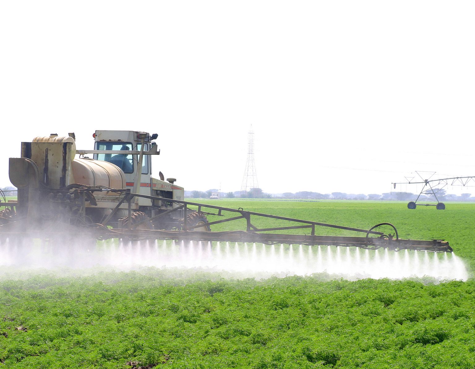 Ahmed Said Al Marhoubi – Global