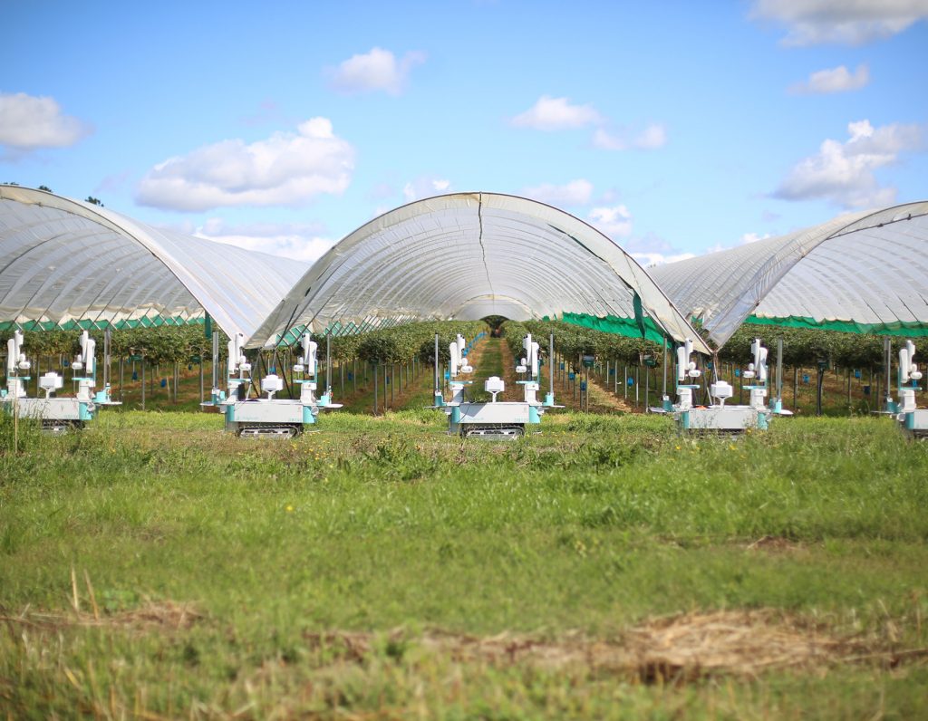 Harvesting the Future – Global