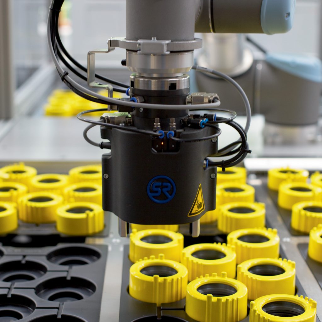 Isabel Grieshaber – Global