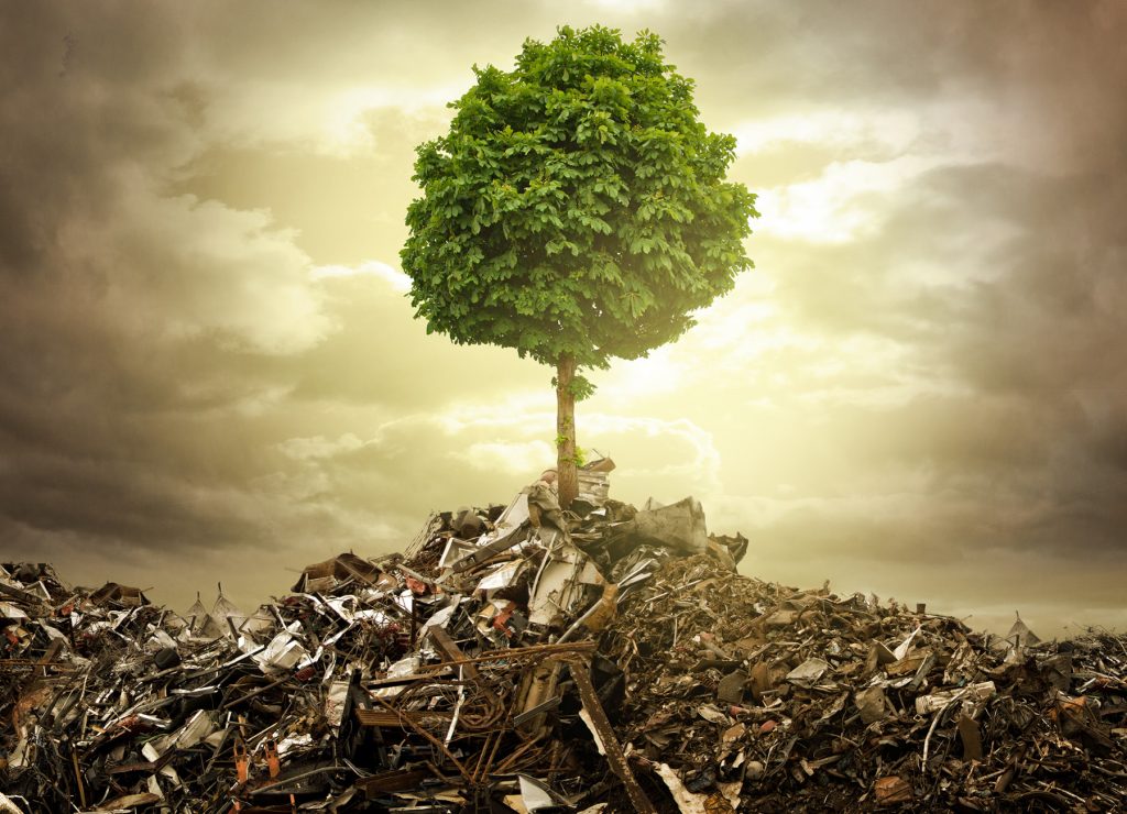 Maddy Gupta – Global