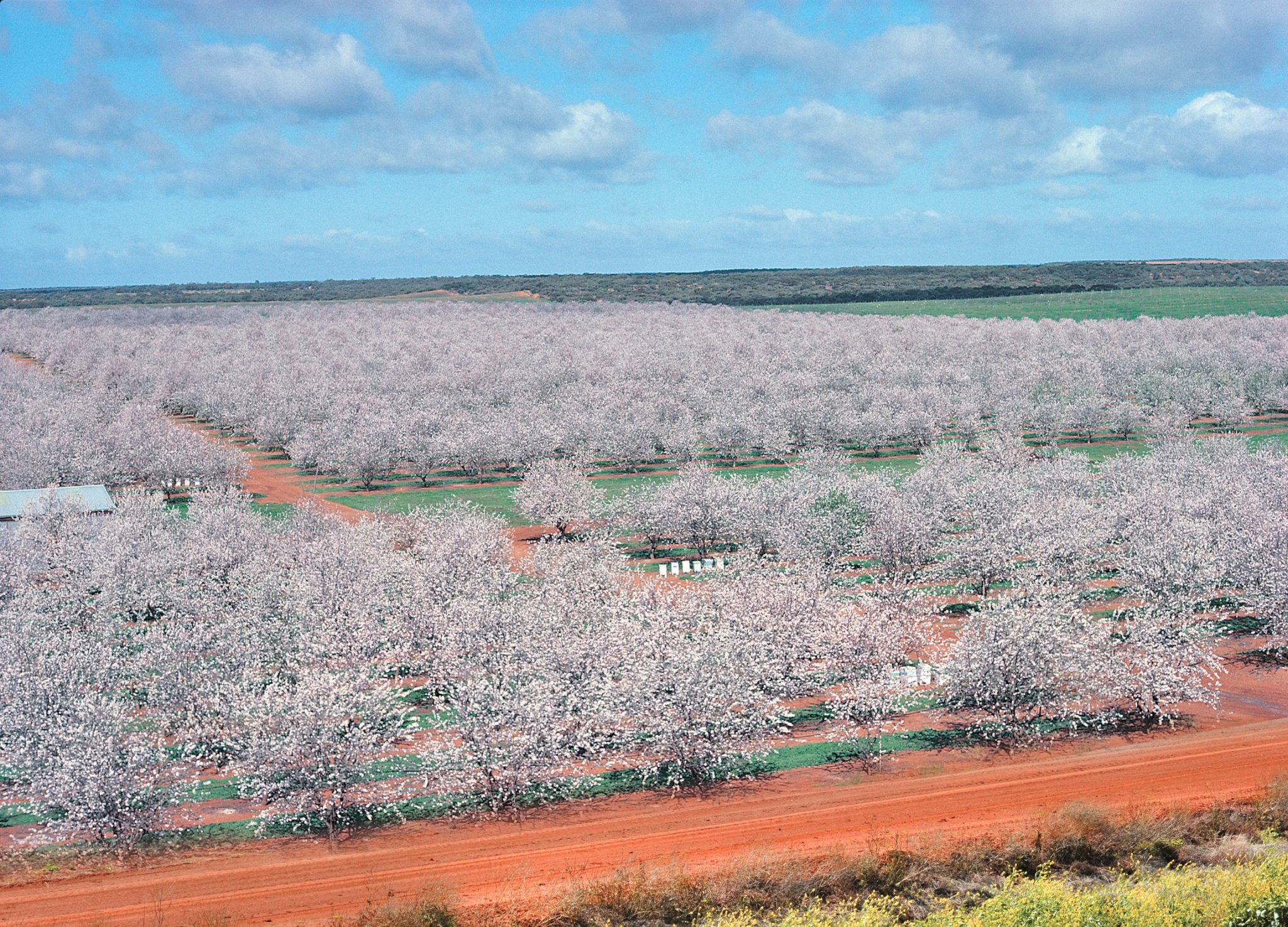 David Surveyor – Global