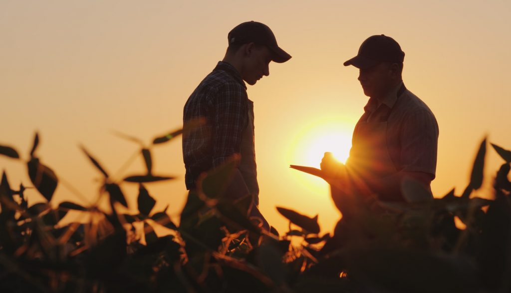 Daniel D Pitcher – Global