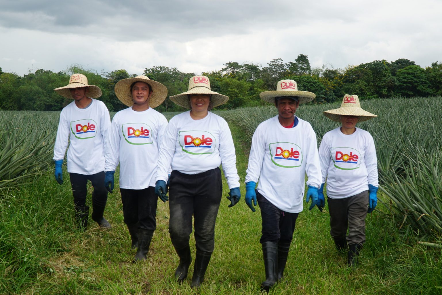 Rey Doria – Global