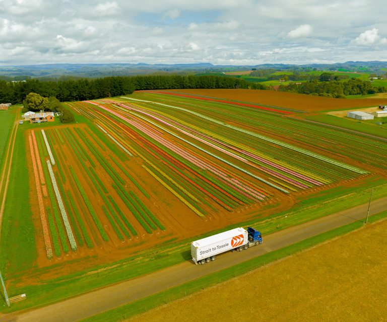 Advertorial – Strait Link – Global