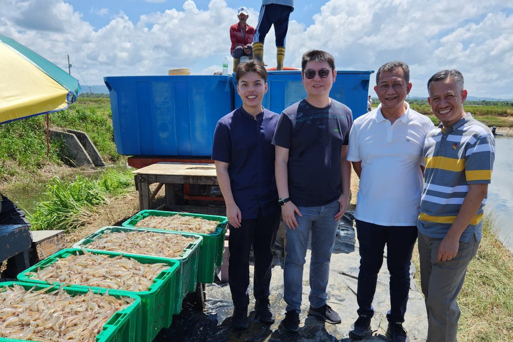 Stephen Ng – Global