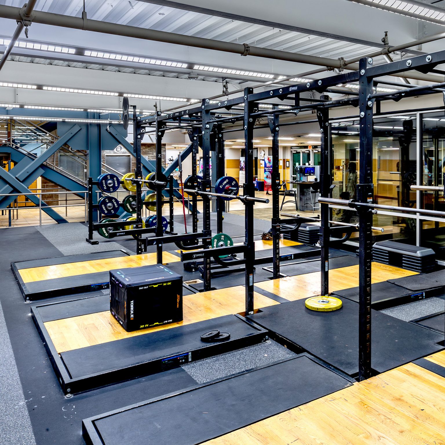 Karl Sanft – Global