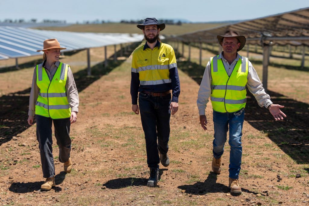 David Pollington – Global