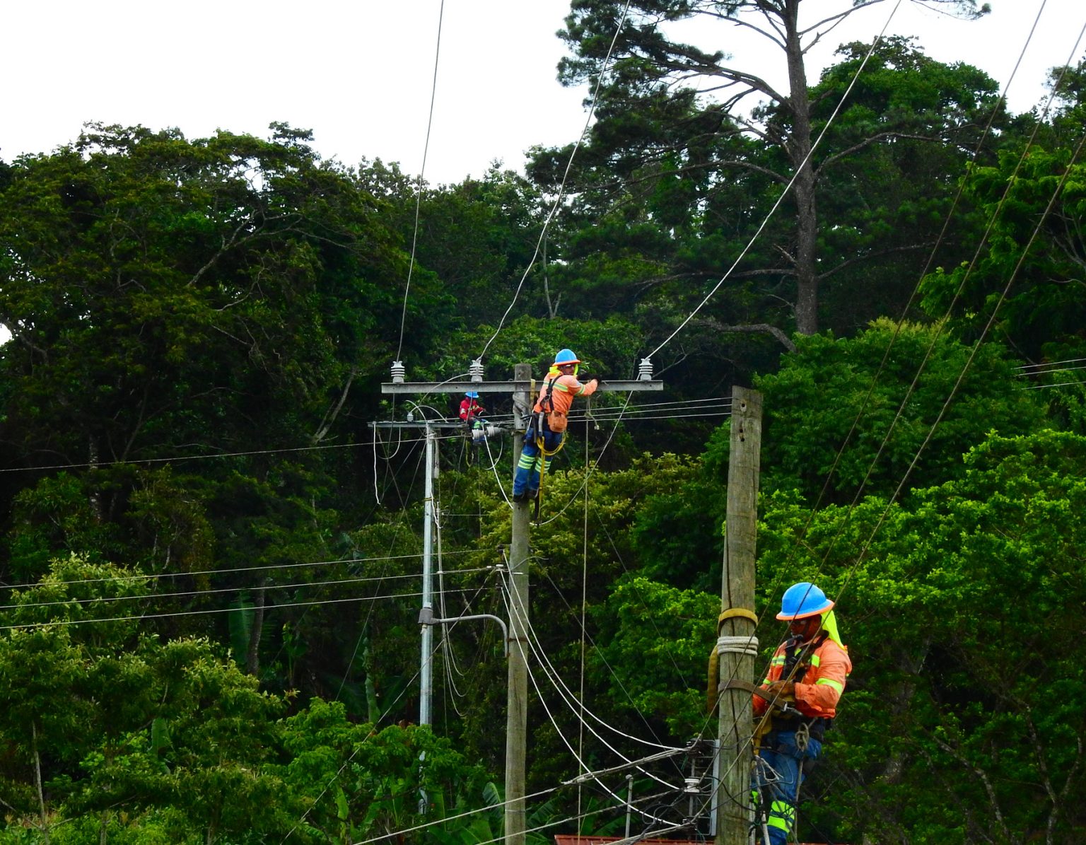 Paulo César Parra – Spanish