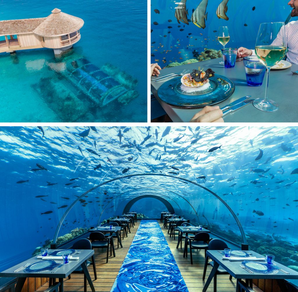 Darla Todo – Spanish