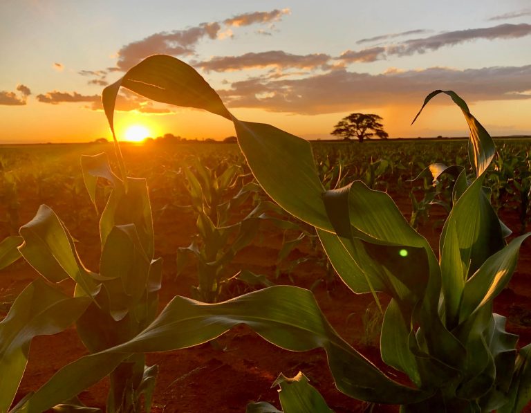 Raimundo Riojas – Spanish